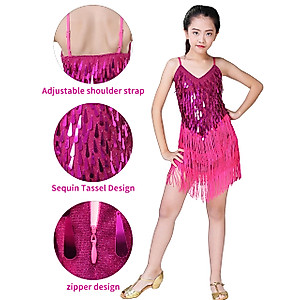 Latin Dance Dress Tassel Salsa Dancewear Sequin Fringe Dress Modern Ballroom Cha Cha Dancer Outfits for Girls (US, Age, 8 Years, 9 Years, Rose)