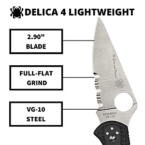 Spyderco Delica 4 Lightweight Knife with Flat Ground Steel Blade and Tunnel to Towers Black FRN Handle - CombinationEdge - C11FPSBKBL
