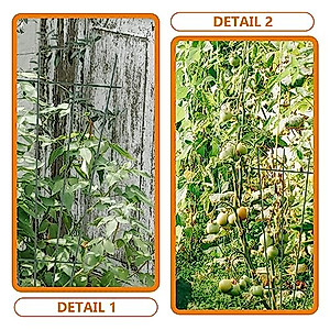 MAGICLULU House Plant Trellis for Potted Plants Plant Climbing Trellis 2pcs Iron Vine Climbing Support Rack Flower Garden Plant Stakes for Rose Vine Pea Ivy Cucumbers Flower Vegetables