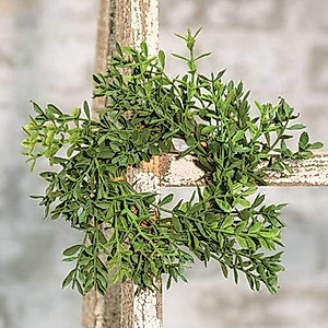 HAPPY DEALS ~ New England Boxwood Candle Ring | 2 inch Center | Greenery Candle Ring Wreath | 6 inch | FXP78275, Green