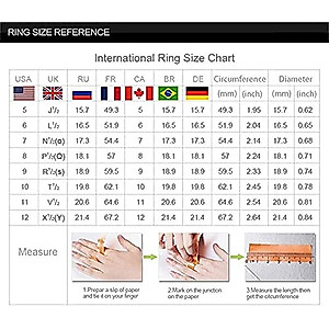 925 Sterling Silver Shiny Full Diamond Ring Cubic Zirconia Flower Ring CZ Diamond Ring Personality Ring for Women Luxury and Delicate Female Style Wedding Engagement Princess Ring Jewelry (US Code 6)