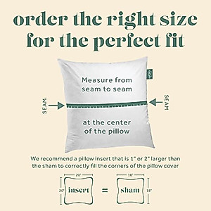 14x22 Decorative Throw Pillow Insert, Down and Feathers Fill, 100% Cotton Cover 233 Thread Count, Rectangle Pillow Insert - Made in USA (Single)