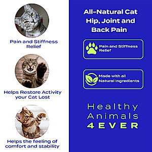 Healthy Animals 4 Ever Arthritis Remedy for Cats - Restore Energy & Vitality - Support Hip & Joint Health - Minimize Pain - All-Natural, Non-GMO, Organic - Preservative & Chemical Free - 300 ct