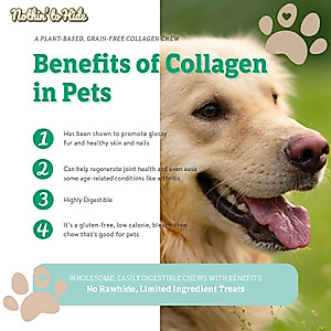 Fieldcrest Farms Nothing to Hide All Natural Rawhide Alternative Dental Bones Dog Chews - & Magnet, Plant Based Wave Treat Chews for Dental Health (Medium)