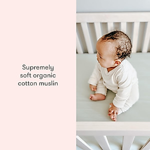 Newton Baby Organic Fitted Crib Sheets (2-Pack) - 100% Breathable and Ultra-Soft, 100% Organic Muslin Cotton, Fits All Standard Cribs, White…