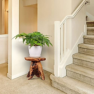 Brefhome Tree Stump Side Table Natural Edge Cedar Real Wood End Table,Small Wooden Mushroom Stool, Indoor/Outdoor