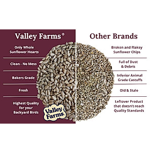 Valley Farms Whole Sunflower Hearts for Birds, Sunflower Kernels Wild Bird Food, No Mess Wild Bird Seed for Outside Feeders, Sunflower Hearts Bird Seed, Sunflower Seeds Bird (4 LBS)