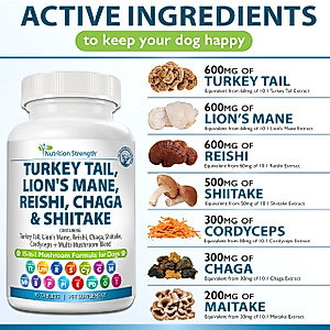 Nutrition Strength 15-in-1 Mushrooms for Dogs Turkey Tail 600mg Lion's Mane 600mg Reishi 600mg Shiitake 500mg Cordyceps 300mg Chaga 300mg Maitake 200mg Meshima Blazei Poria Enoki Portobello 90 Tablets