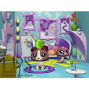 Littlest Pet Shop Friends: Beach - Nintendo DS (Renewed)