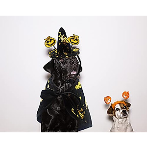 Hying Halloween Pet Black Witch Cloak for Cosplay Party Decoration, Cat Witch Hat Cosplay Costumes for Puppy Kittens Pet Accessories