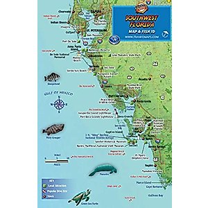 Southwest Florida Dive Map & Coral Reef Creatures Guide Franko Maps Laminated Fish Card