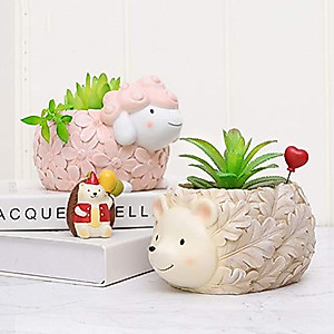 Happyyami Ceramic Animals Succulent Plant Pot Resin Hedgehog Cactus Flower Container Bonsai Planter Holder for Home Office Garden Decor