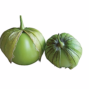 Burpee Gigante Tomatillo Seeds 160 seeds
