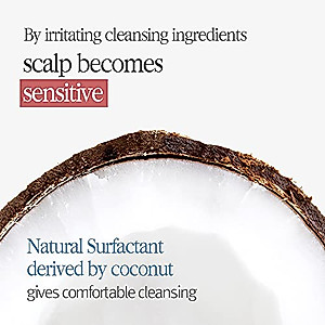 Bouquet Garni Hair Shampoo Variation (16.9 Fl.Oz, Rose Garden)