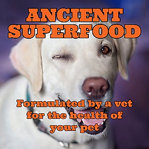 Turmeric Golden Paste for Pets 7 OZ (200grams)