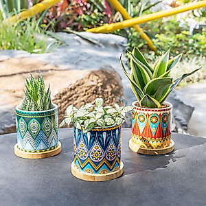 Greenaholics Succulent Planter Pots-3 Inch Small Ceramic Planters Plants Pots Mini Succulent pots with Bamboo Tray and Drainage Hole for Indoor Plants, Colorful Mandala Patterns, Set of 3