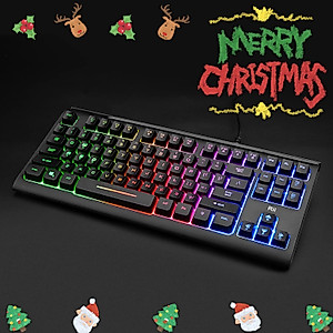 Rii Gaming Keyboard,87-Keys RGB Backlit Compact Keyboard,Silent Computer Keyboard,Wired Tenkeyless Keyboard for Laptop,PC,Windows,Mac