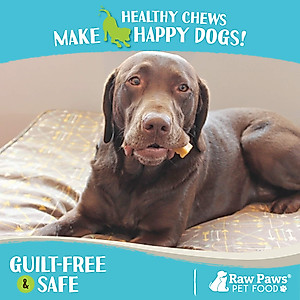 Raw Paws Himalayan Yak Chews for Dogs, Medium Chews (4 Count) - Himalayan Cheese for Medium Dogs - Yak Bones for Dogs - Yak Milk Bones for Dogs - Dog Cheese Chews Himalayan - Yak Chews for Medium Dogs