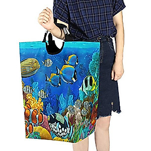 Qilmy 22.7’’ Sealife Fish Coral Waterproof Foldable Laundry Hamper, Dirty Clothes Laundry Basket, Storage Organizer for Toy Collection
