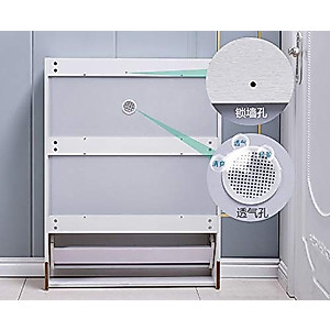 N/A Tipping Shoe Cabinet Shoe Storage Shelf Simple Narrow -Thin 17cm Space-Saving Home Hall Entrance Cabinet (Size : Width 60cm)