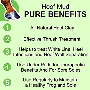 Pure Sole Hoof Mud - an All Natural Hoof Clay for Horses - an Effective Horse Hoof Care Product for Thrush Treatment, White Line, and Hoof Wall Separation. Use Regularly for A Healthy Hoof - 16oz.