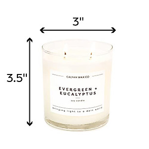 Evergreen & Eucalyptus Scented Candle, Soy Wax Candles for The Home Scented with Phthalate Free Oils, 3.5 x 3 inch, 8.8 oz, 37 Hour Burn Time Fall Candles & Home Decor in Glass Jar - Calyan Wax