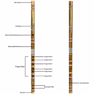 Jiayouy Bamboo Flute G Key Dizi Pluggable Handmade Traditional Chinese Instrument with Bamboo Membrane & Velvet Bag