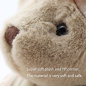 suepcuddly Jointed Teddy Bear Stuffed Animals Small Soft Plush Toy with Cloth (Pink Skirt 13Inch)