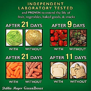 Debbie Meyer GreenBoxes – BreadBox keeps Baked Goods, Snacks, Fruits, and Vegetables Fresh Longer, Reusable, BPA Free, Made in USA