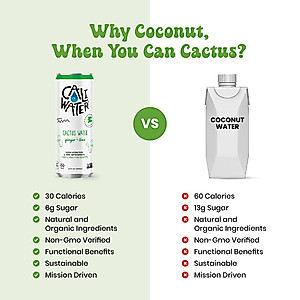 Caliwater - Organic Cactus Water - Ginger and Lime - 5g Sugar, 25 Calories - Coconut Water Alternative - Natural Plant Based Hydration - Skin Care, Electrolyte Drinks - Flavored Water - 12 Cans