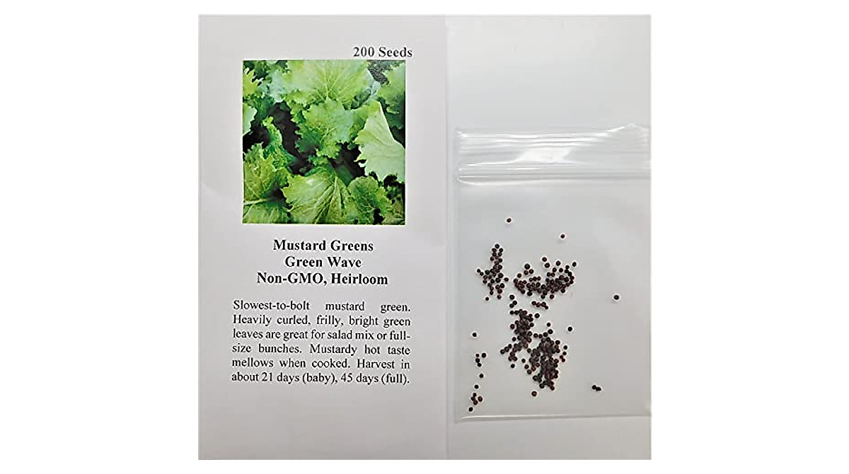 Grow Mustard Greens Green Wave | Non-GMO Heirloom Seeds