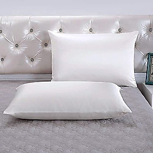 Zenssia Silky Satin Pillow Cases Set of 2, Soft Satin Pillowcases for Hair and Skin, Satin Pillow Covers with Zipper Closure, Queen Size 20x30 Inches, White