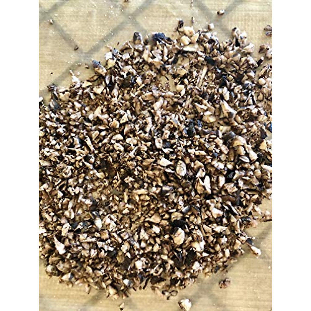 Burdock Root Seeds - Pack of 50, Certified Organic, Non-GMO, Open Pollinated, Untreated Vegetable Seeds for Planting – from USA