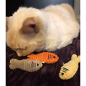 HuggleHounds Cat Mouse Toys - Interactive & Stimulating Cat Toy with Cat Nip Infused - Feather Mice Toy for Indoor Cats | HuggleKats Sardinies