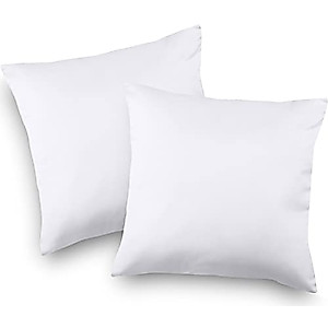 Utopia Bedding Throw Pillows Insert (Pack of 2, White) - 20 x 20 Inches Bed and Couch Pillows - Indoor Decorative Pillows