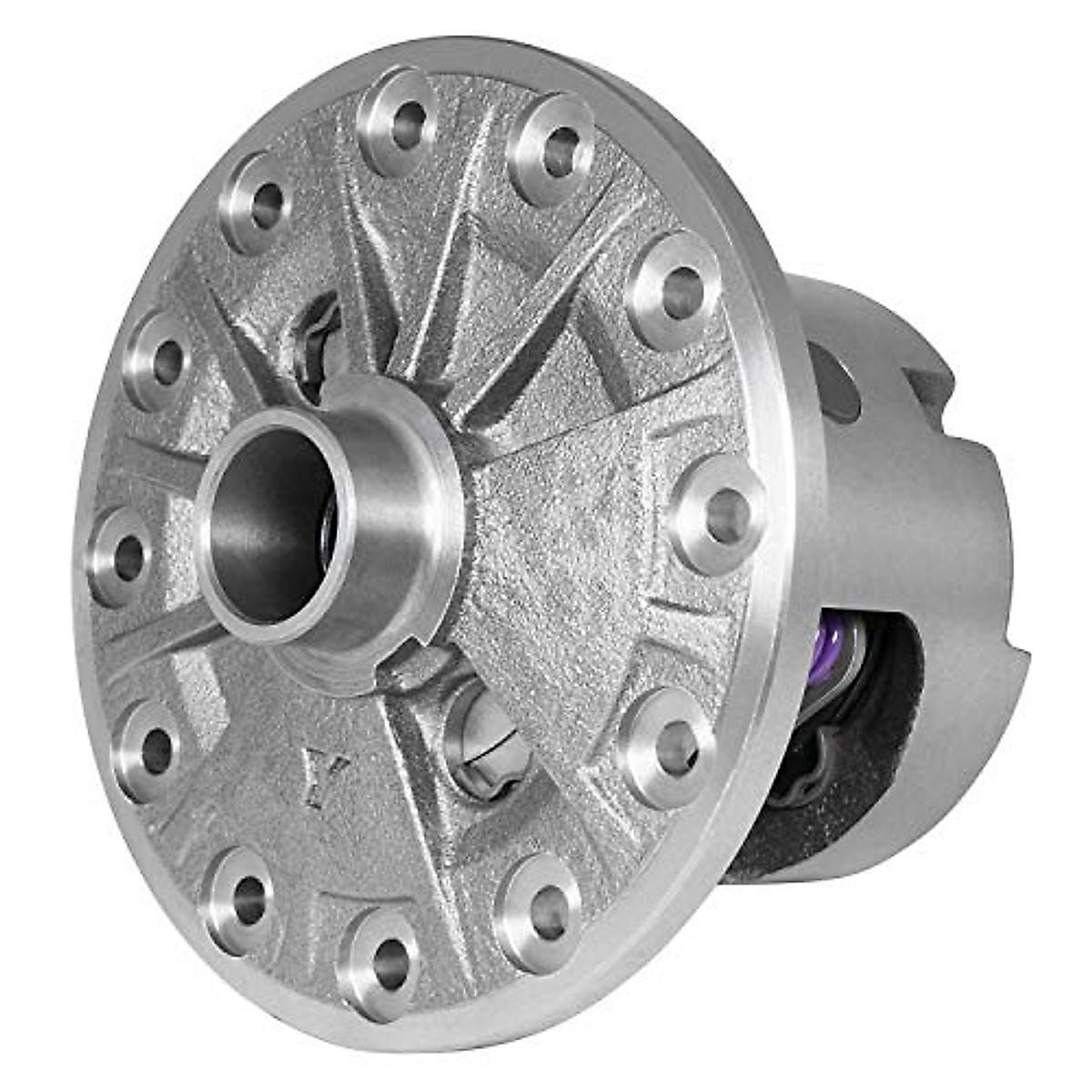 Yukon Gear & Axle (YDGF8.8-31-1) Duragrip Differential for Ford 8.8 with 31 Spline Axle, Grey