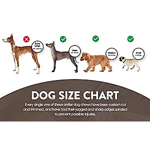 WhiteTail Naturals - Lamb Horns for Dogs (2 Pack) Long Lasting Dog Chews - Grain Free Chew Bone - Natural Sheep Horn Treat - Tough Chew Toy for Medium Breeds and Teething Puppies.