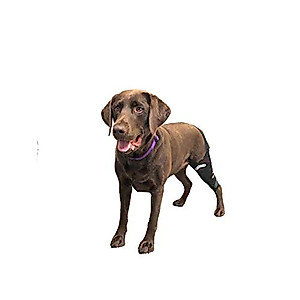 WALKABOUT Harnesses Camouflage Knee Brace for Dogs, Treat ACL, CCL Injury, Arthritis, Joint Pain, Fatigue and Stress with The Knee Brace (Medium-Large Right)