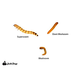 Josh's Frogs Mealworms (1000 Count)