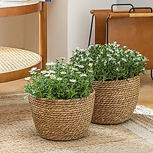 La Jolíe Muse Seagrass Planter Basket Indoor, Flower Pots Cover, Plant Containers, Natural(3-Pack) 10.2"+8.7"+6.7"