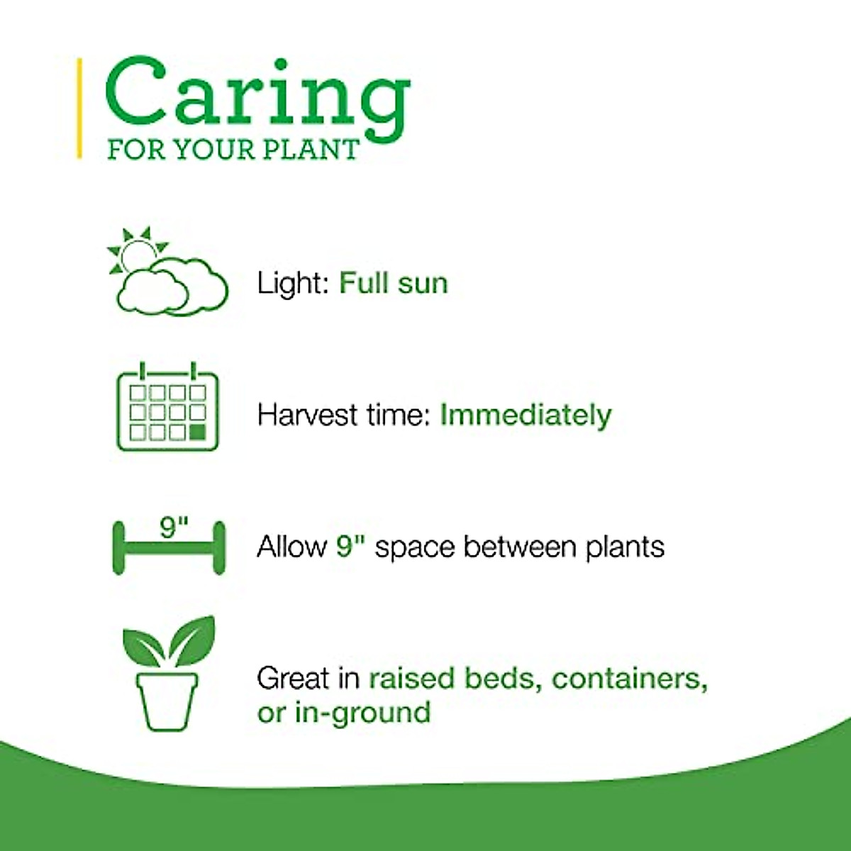 Bonnie Plants Pet Grass Live Edible Plant - 4 Pack, Pet Friendly, Great For Dogs & Cats, Perfect For Indoors