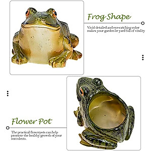 Hemoton Frog Planter, Ceramic Frog Shaped Plant Pot/Bonsai Pot/Flower Pot/Succulent Planter Multipurpose Pot for Indoor Home Desk Decoration