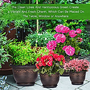 Plastic-Plant-Flower-Planters-10 Inch With Drainage Hole & Saucer, 3 Packs Lightweight Small Resin Flower Pot Indoor Outdoor, Retro Antique Imitation Decorative Garden Containers Sets For Houseplants