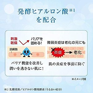 Hada Labo Rohto Hadalabo Gokujun Hyaluronic Lotion Moist Pump type 13.5 fl. oz.(400ml)