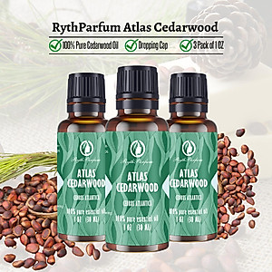 RythParfum Atlas Cedarwood Essential Oil with Dropper|100% Pure,Undiluted Natural Mint Oil for Diffuser,Humidifier,Aromatherapy (Pack of 3 oz)