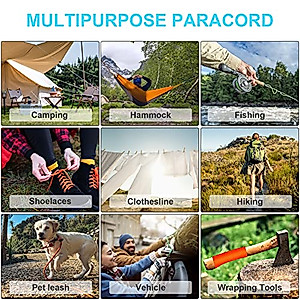 1000Ib Paracord/Parachute Cord - 12 Strand Paracord Rope - 100ft 250ft 500ft 1000ft 4mm, para Cord Lanyard for Camping, Hammock, Clothsline, Hiking and Surviva (Green, 100ft)
