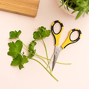 EK Success EKCB01 Cutter Bee Precision Scissors, Small