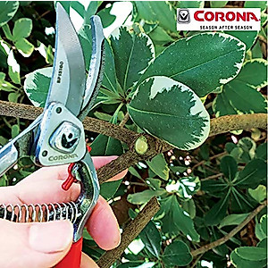 Corona Tools | ClassicCUT ClassicCUT® Branch & Stem Pruning Shears for Gardening | Cuts Branches and Stems up to 1-inch in Diameter | BP 15180