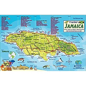 Jamaica Dive Map & Coral Reef Creatures Guide Franko Maps Laminated Fish Card