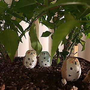 Miraclekoo 8 Pcs Mini Resin Owls Miniature Figurines Fairy Garden Owl Ornament for Dollhouse, Plant Pot, Micro Landscape, Bonsai Craft Decor